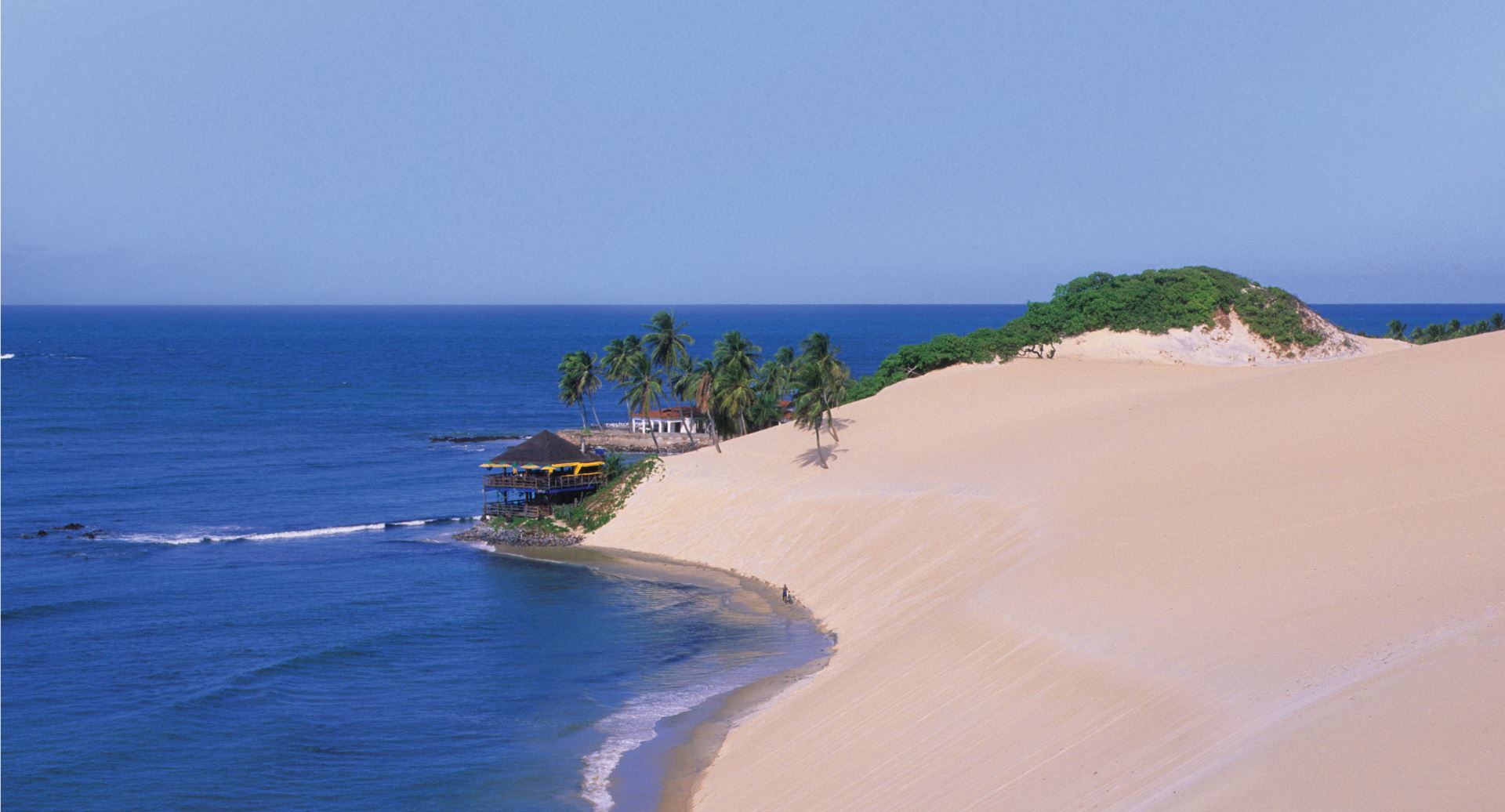 FlyTAP - Official Website