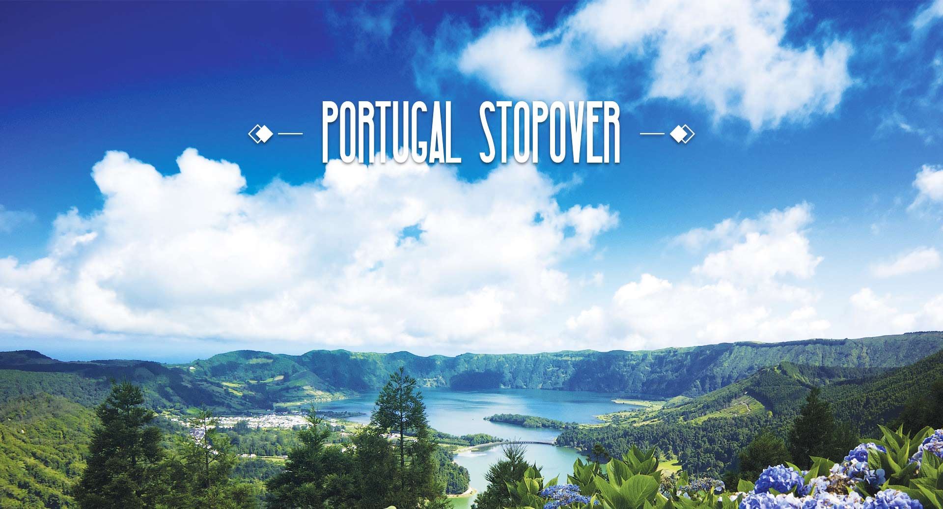 FlyTAP - Official TAP Site