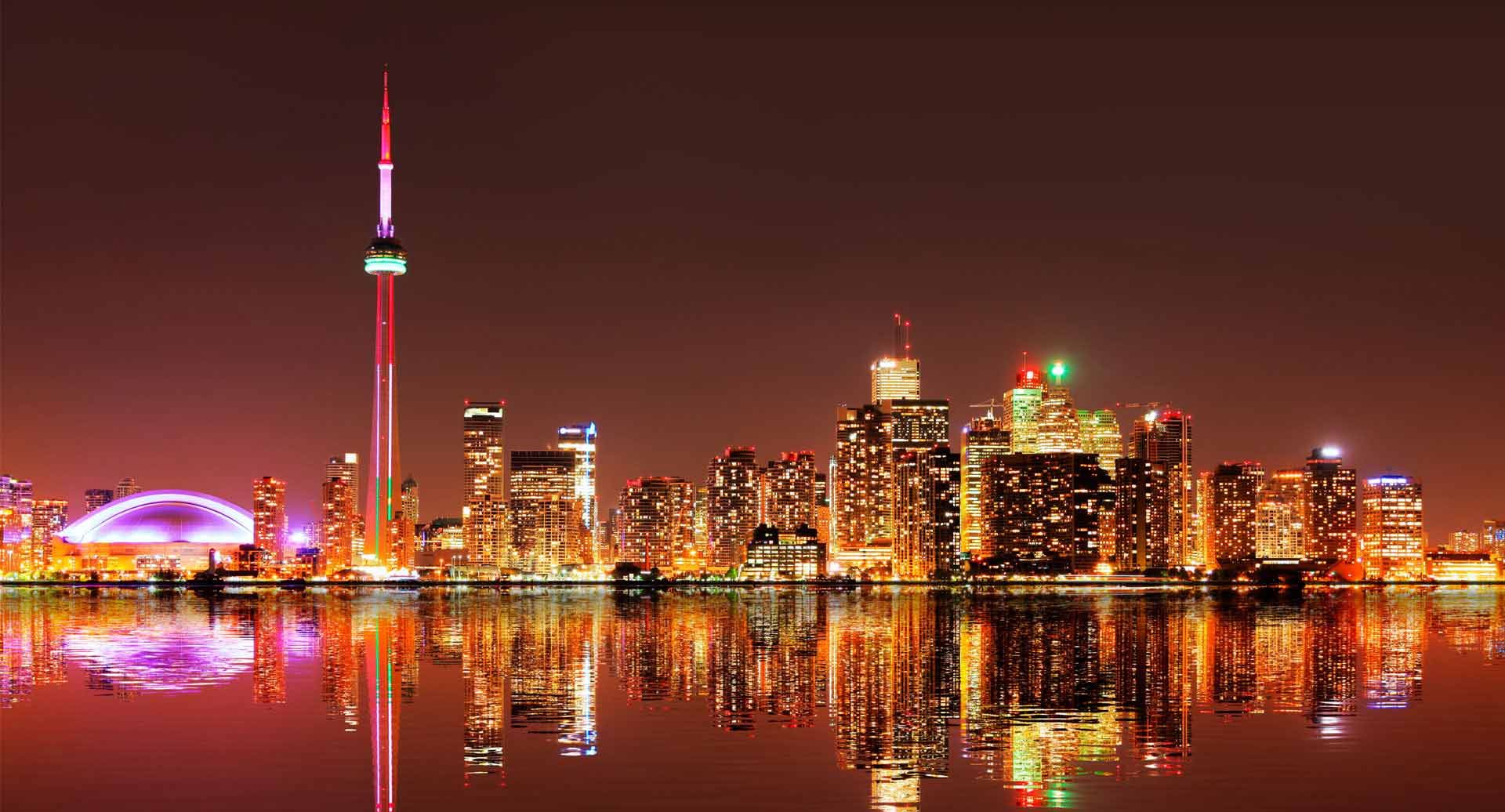 FlyTAP - Official Website