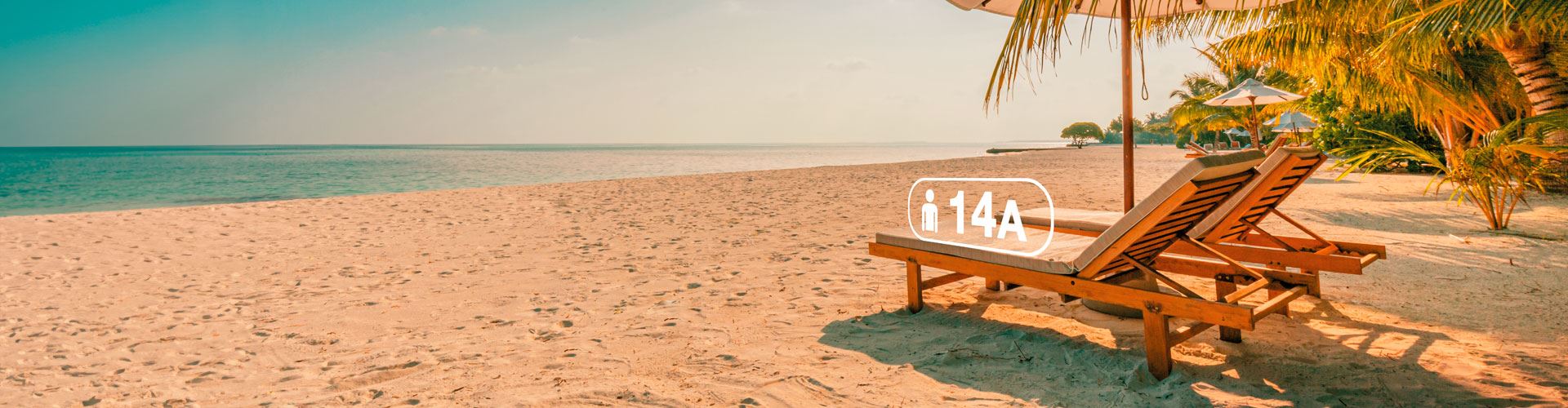 FlyTAP – TAP's official website | TAP Air Portugal