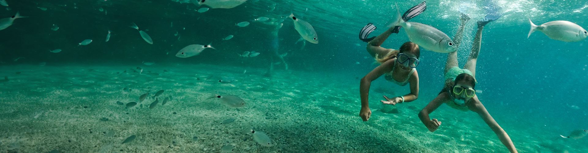 FlyTAP – TAP's official website | TAP Air Portugal