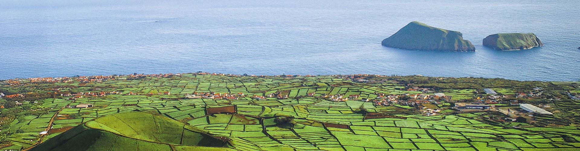 FlyTAP – TAP's official website | TAP Air Portugal