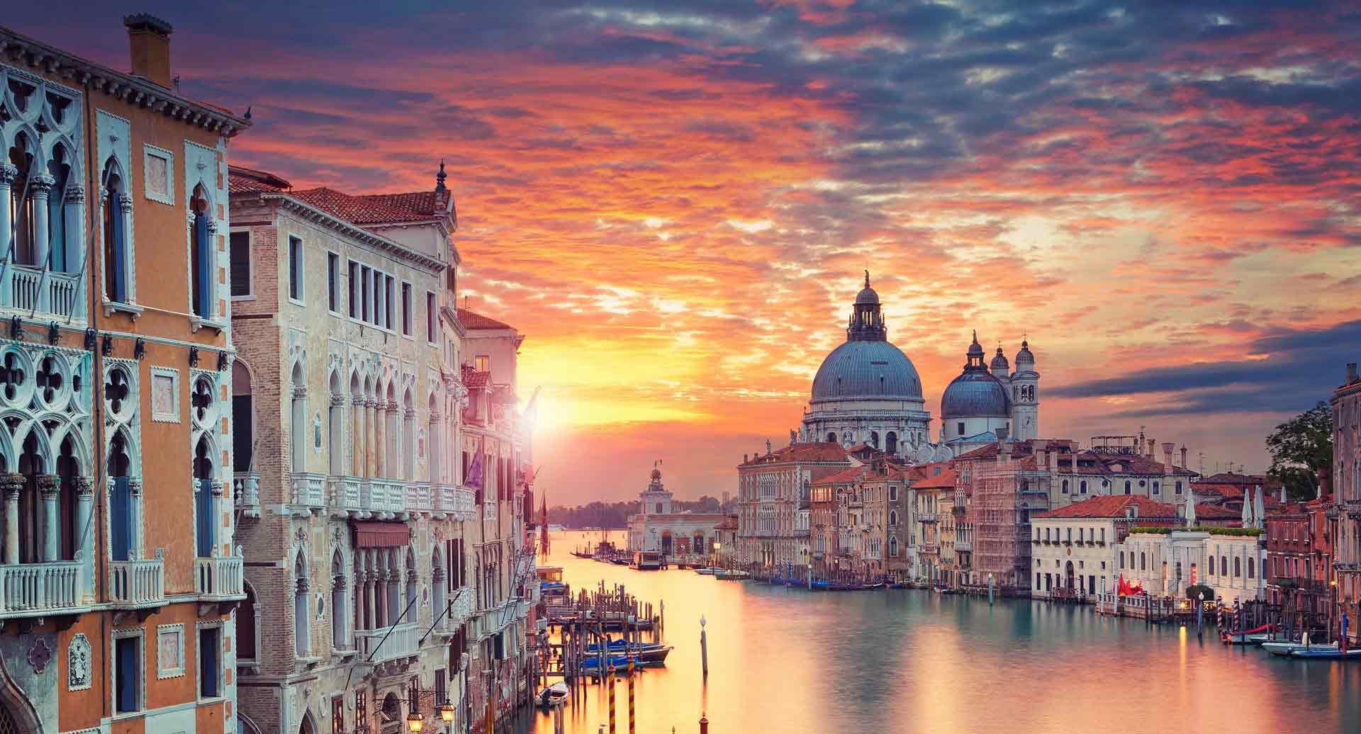 Flytap - Oficial Site