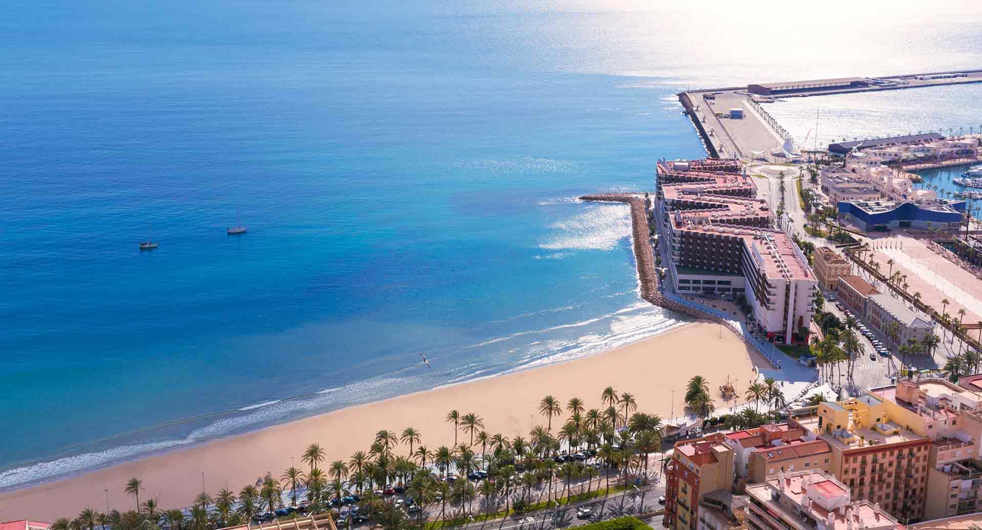 flyTAP - Official TAP Site