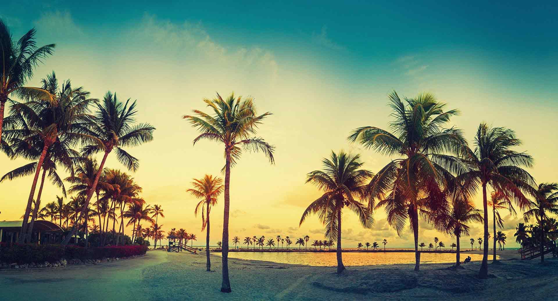 flyTAP - Official TAP Site