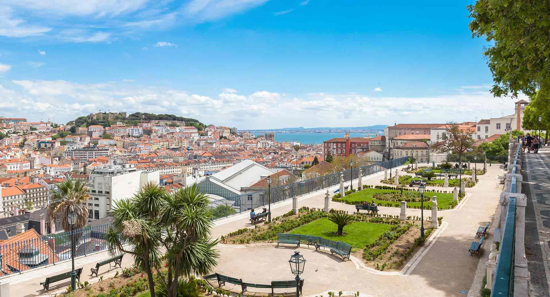 FlyTAP - Site Oficial