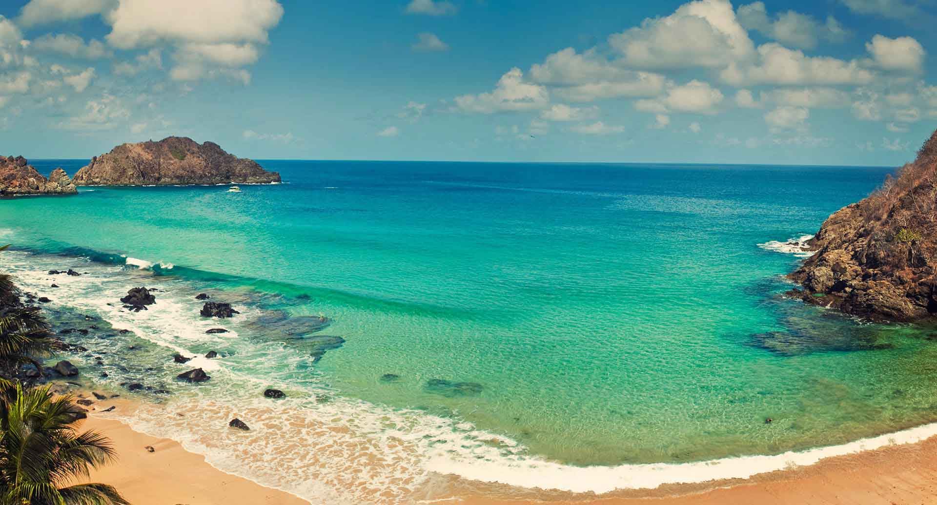 flyTAP - Site officiel