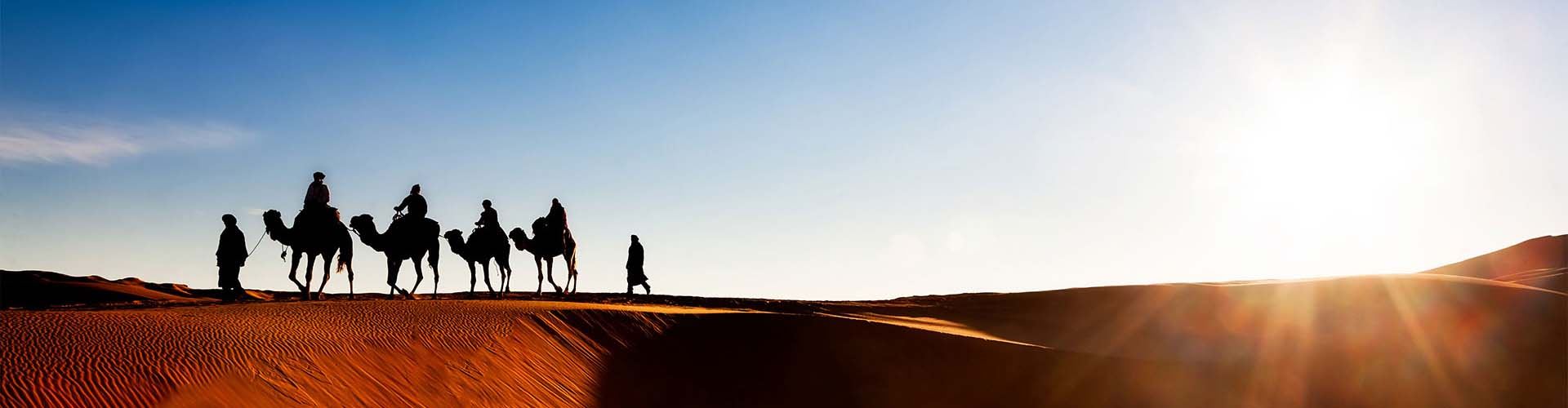 FlyTAP – TAP's official website | TAP Air Portugal