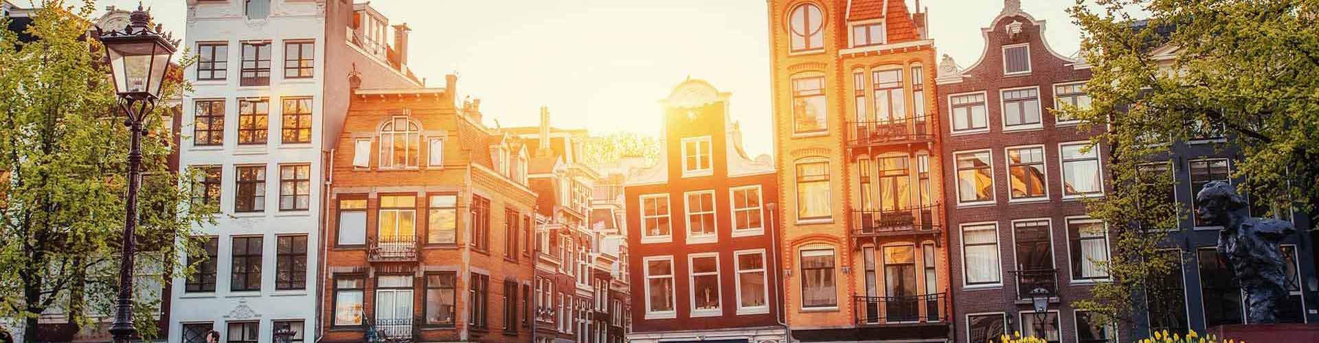 FlyTAP – TAP's official website | TAP Air Portugal