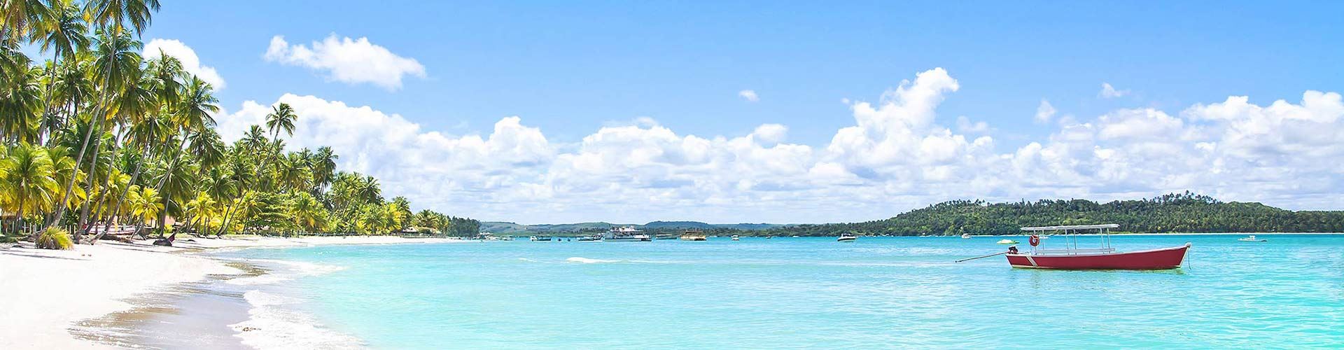 FlyTAP – El sitio web oficial de TAP | TAP Air Portugal