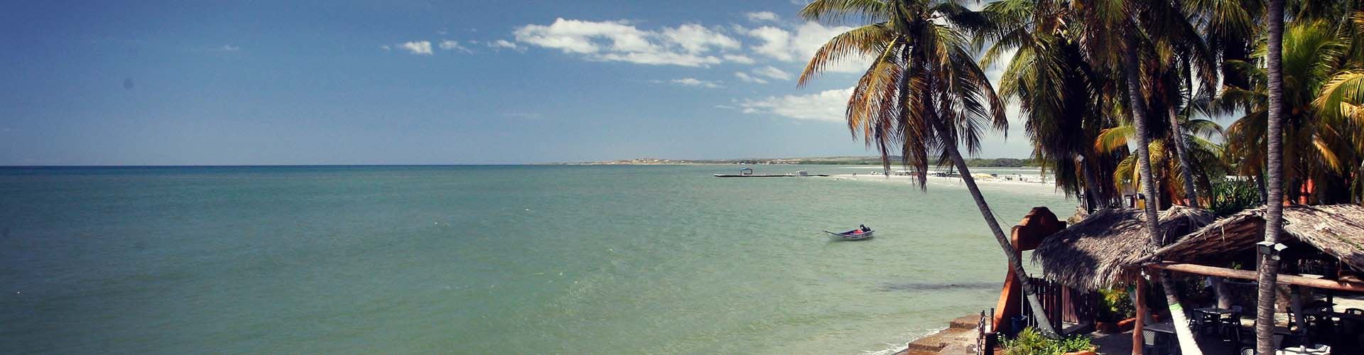 FlyTAP – TAP's official website | TAP Air Portugal