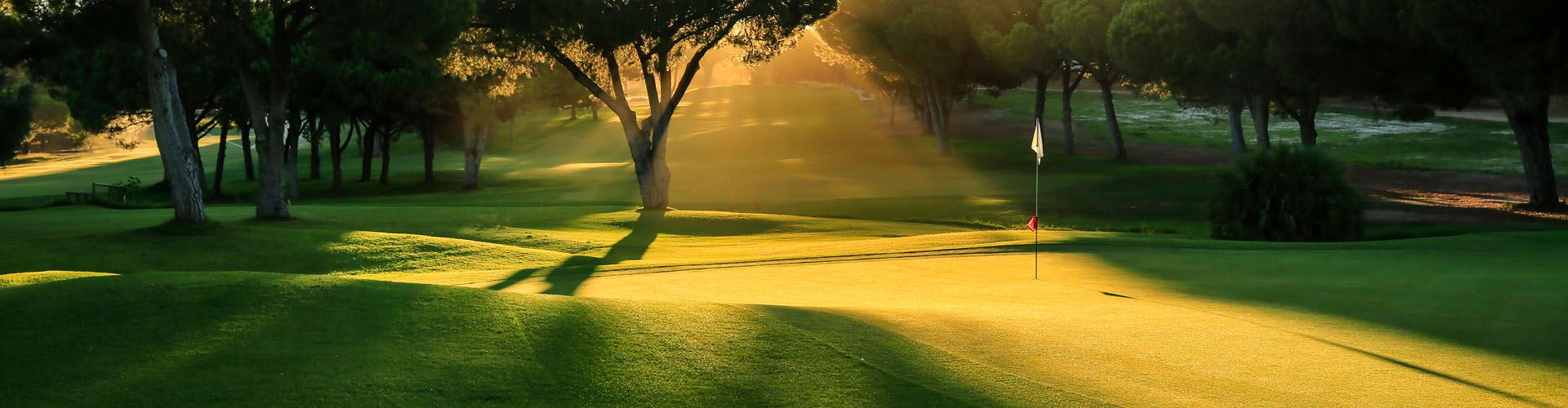 FlyTAP – TAP's official website | TAP Air Portugal